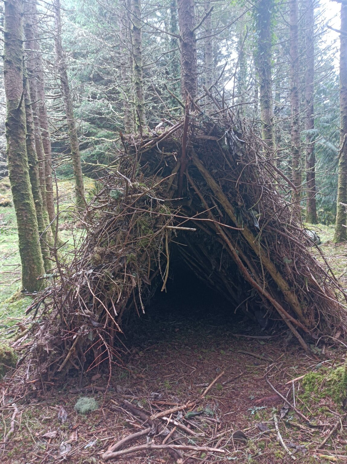 Bushcraft Skills Training Courses Coming Up In Glengarriff, Cork ...
