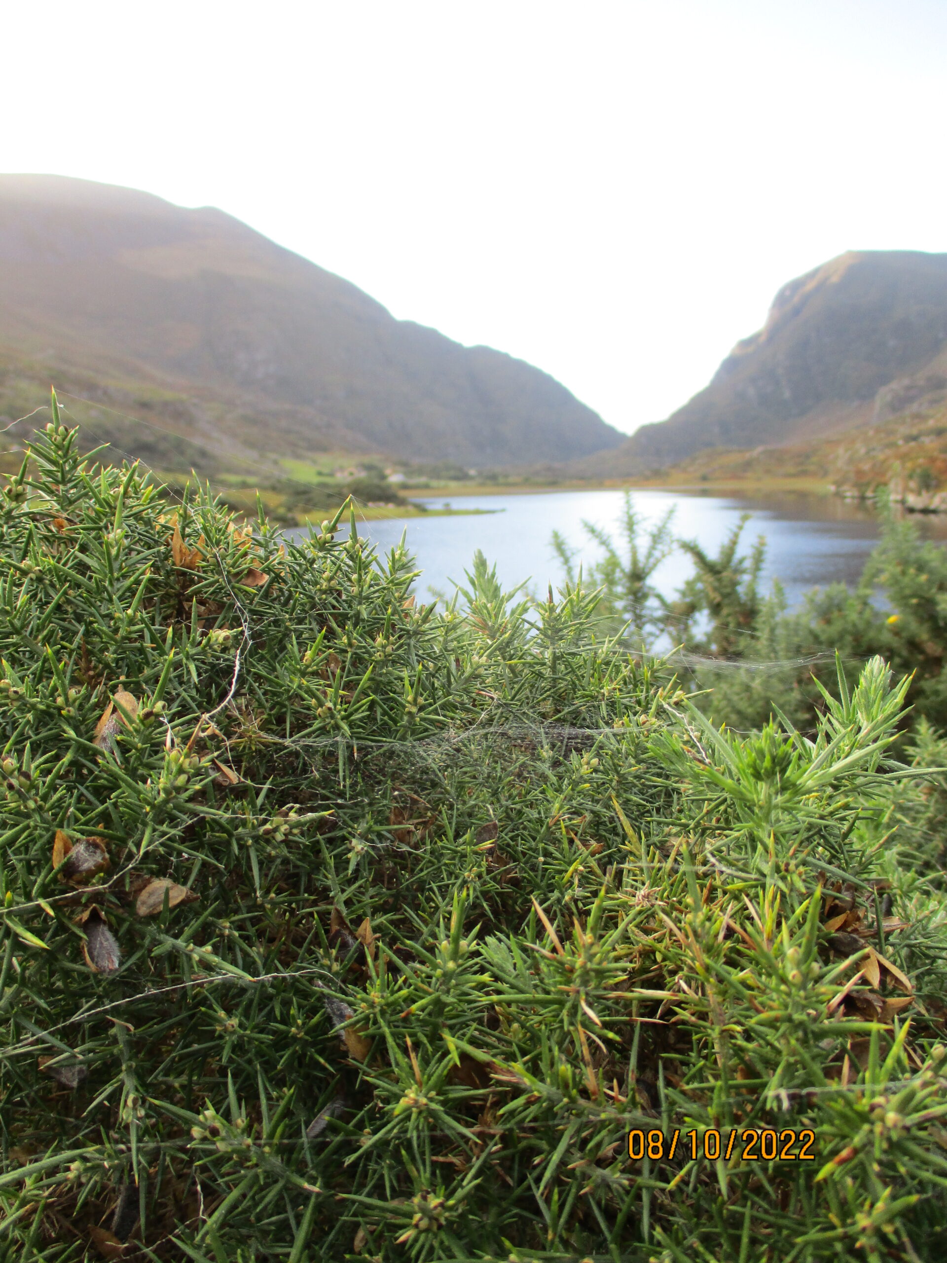 Two Spots Available For Lowland Leader Training - Glengarriff - 11th ...