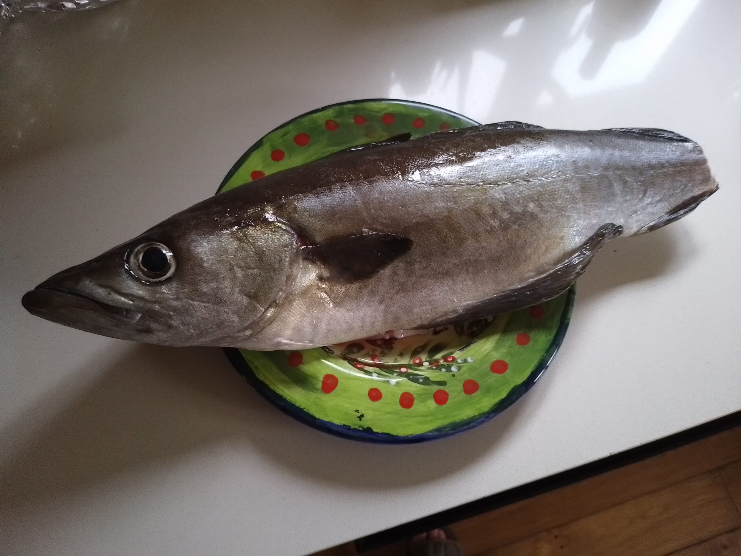 Pollock & Stout - Outdoors Ireland