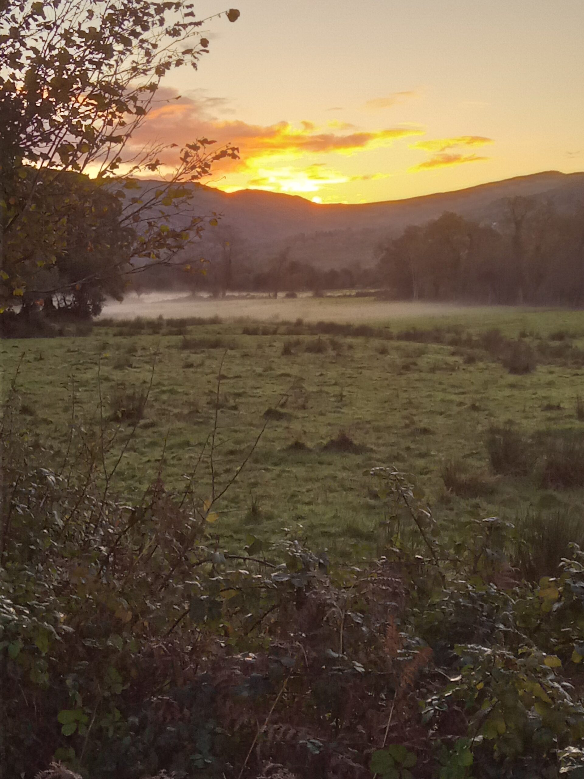 Sunset & Mist In Bonane Valley, As We Finish A Lowland Leader Training ...