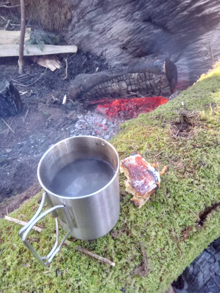 Just Ran A Fantastic Five-Day, Beginner Friendly, Bushcraft Skills Week ...