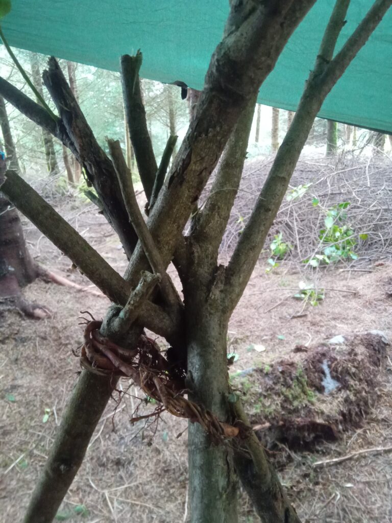 Just Ran A Fantastic Five-Day, Beginner Friendly, Bushcraft Skills Week ...