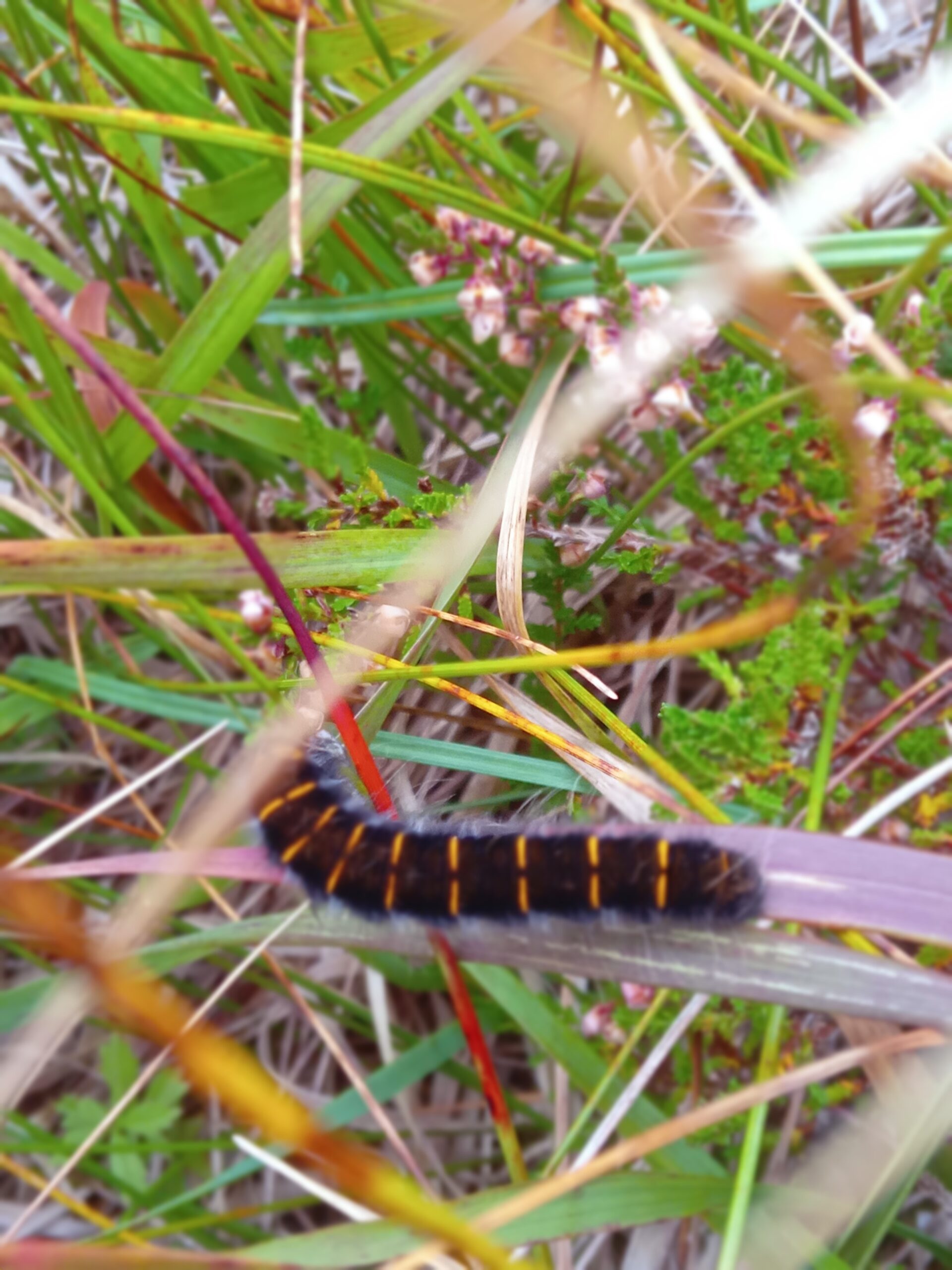 Map Reading & Compass Courses Coming Up (Mountain Skills 1) - Outdoors ...