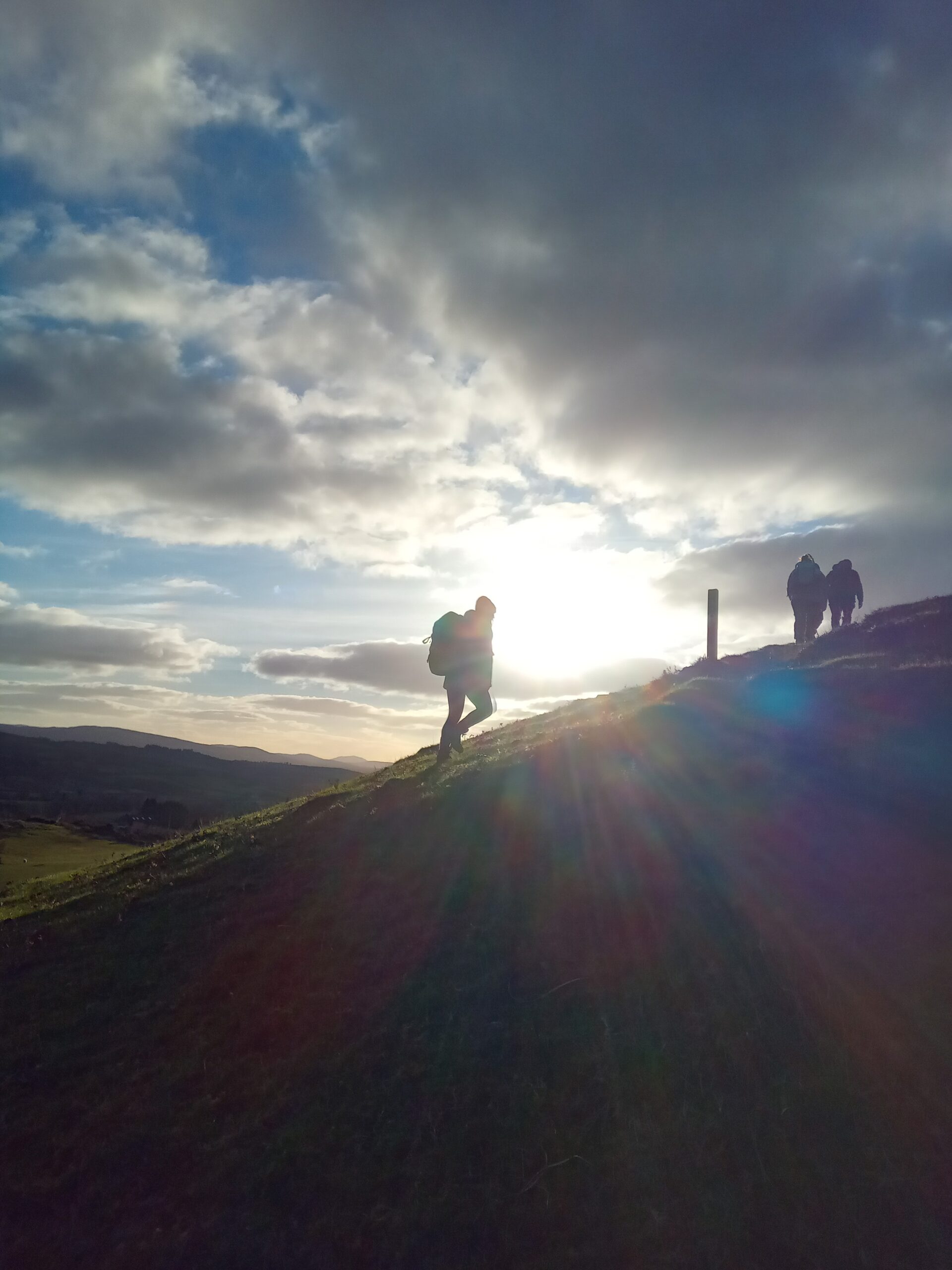 Aging A Tree - Nice Tactile Group Task For Lowland Leader - Outdoors ...