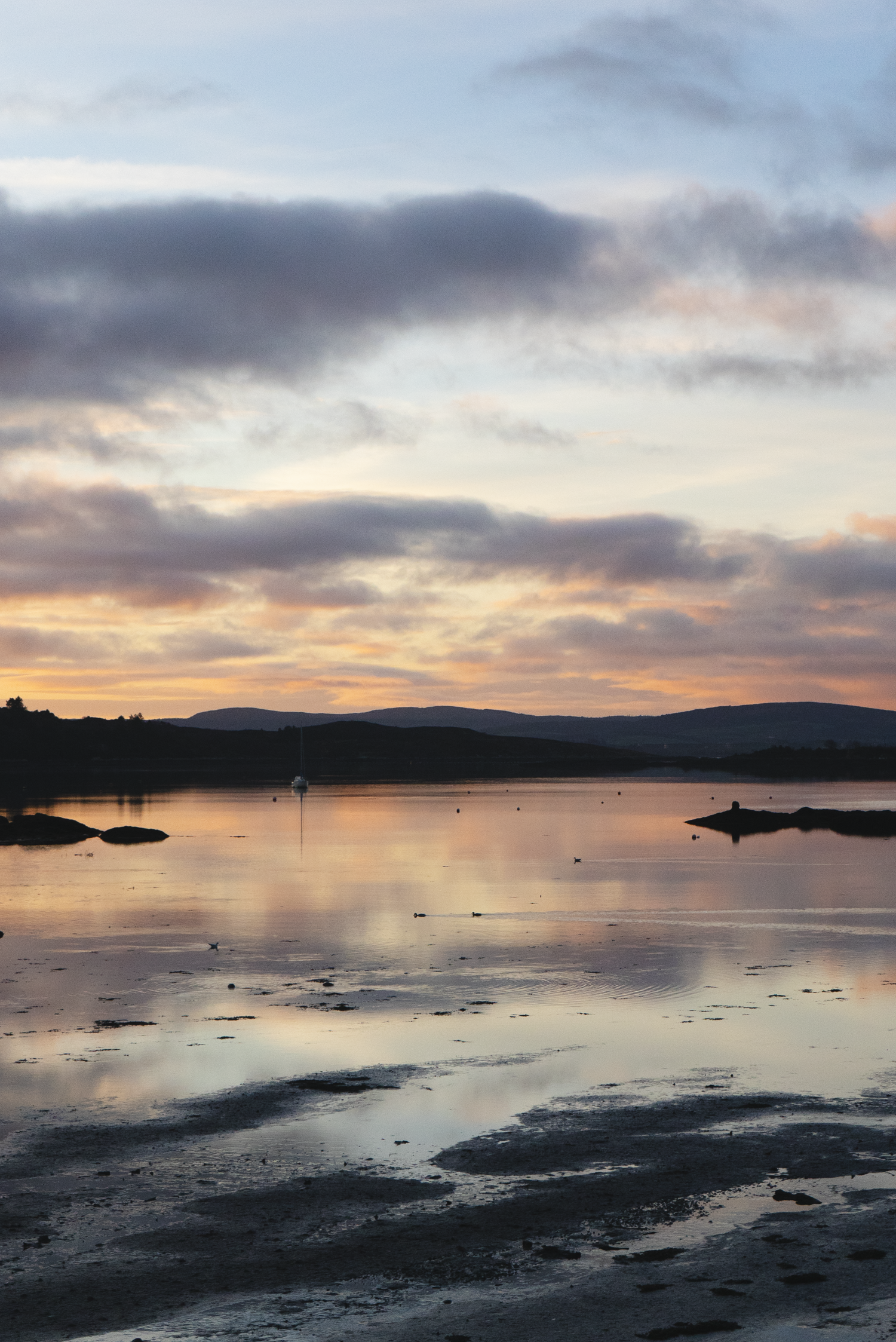 Lowland Leader Assessment Over The Weekend, In The West Cork ...