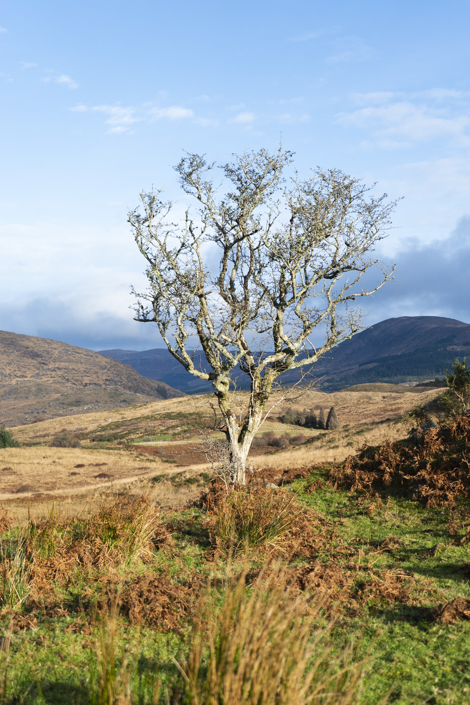 Lowland Leader Assessment Over The Weekend, In The West Cork ...