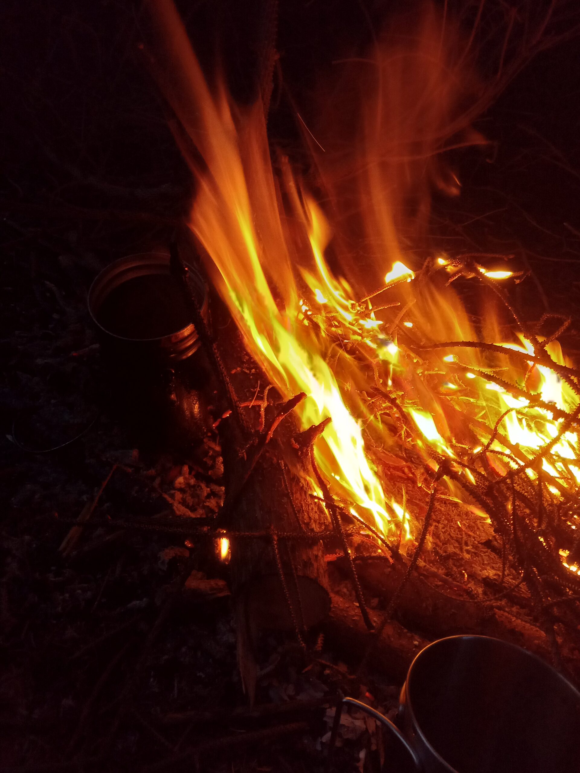 Prepper Skills - Outdoors Ireland
