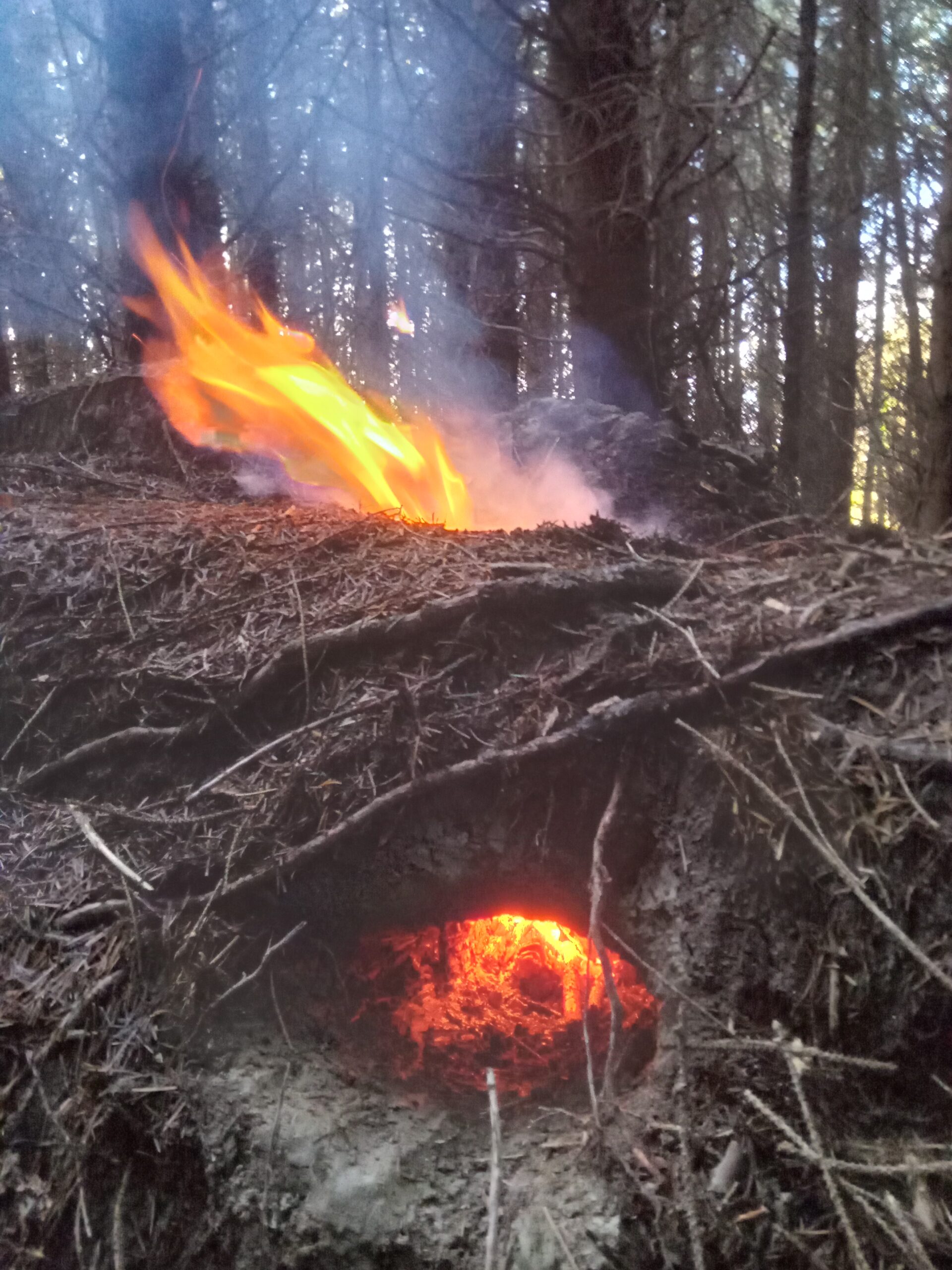 Bushcraft Survival Courses : Bushcraft Survival Training : Survival Skills